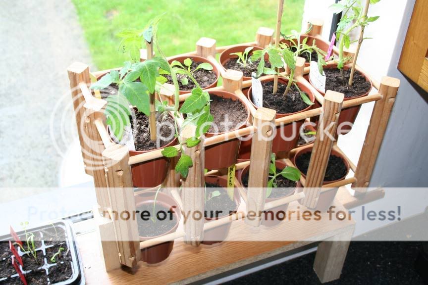 April | 2012 | EekOhSoLogical