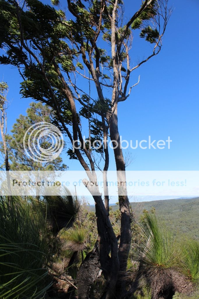 [QLD] Gympie - Point Pure & Eagle's Nest - Mount Clara Chimney - Mt Mia ...